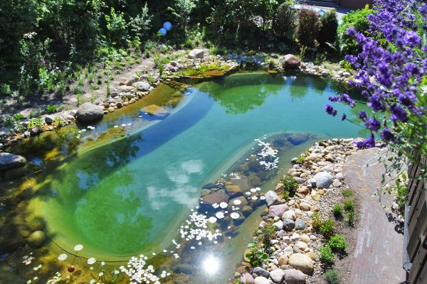 Biotop - Biotop References - Example Projects | Success Stories